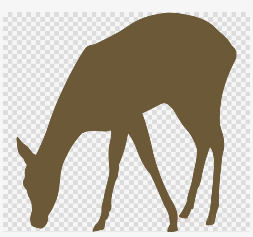 Doe Png - Free Transparent PNG Download - PNGkey