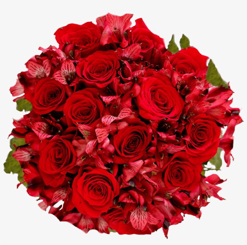 Red Delicious - Free Transparent PNG Download - PNGkey