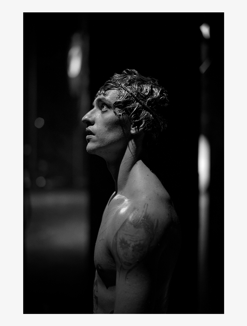 Sara Lee Logo Png - Free Transparent PNG Download - PNGkey