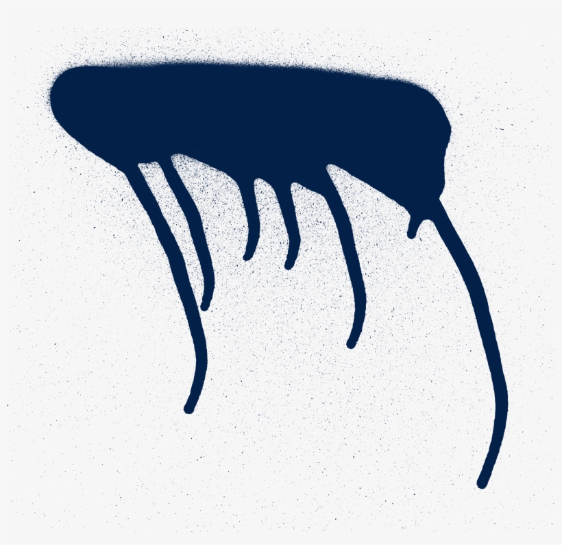 Young Turk, Seth Macfarlane Also Tweeted It - Free Transparent PNG ...