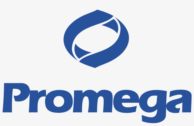 Sponsor - Free Transparent PNG Download - PNGkey