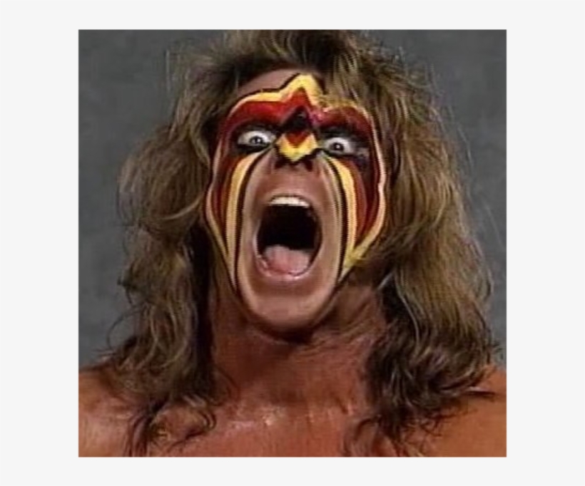 Wwe 2k14 Gets Ultimate Warrior Pre-order Bonus - Ho Kogan - Free ...