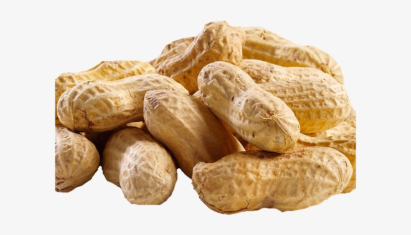 Peanut Png Transparent Picture - Peanut Transparent Background - Free ...