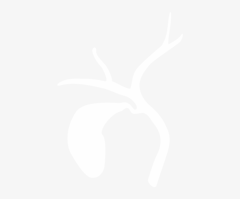 Gallbladder And Bile Ducts - Gallbladder - Free Transparent PNG ...