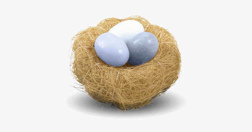 Nest Png Picture - Nest Png - Free Transparent PNG Download - PNGkey