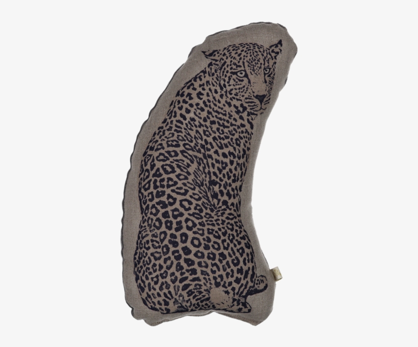 Snow Leopard - Free Transparent PNG Download - PNGkey