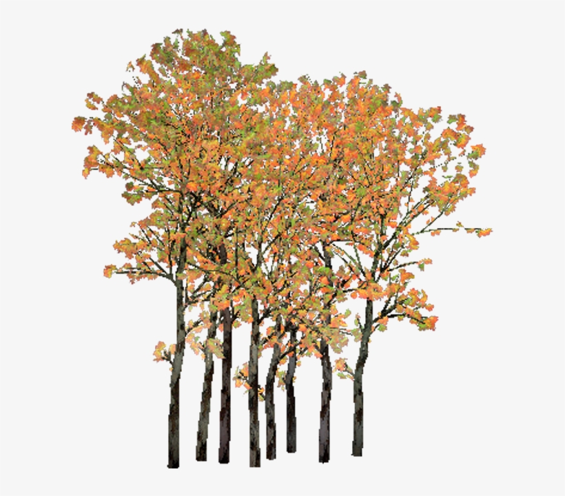 Cluster Png - Free Transparent PNG Download - PNGkey