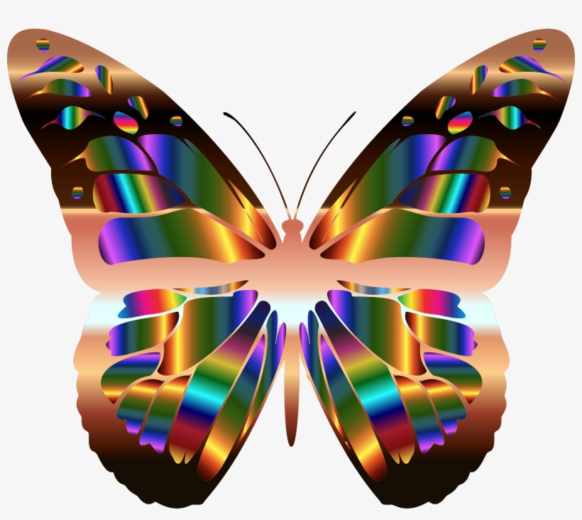 Big Image - Free Transparent PNG Download - PNGkey