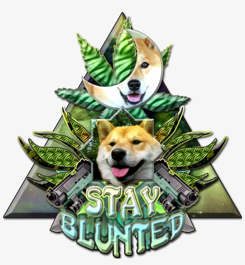 Shibe Png - Free Transparent PNG Download - PNGkey