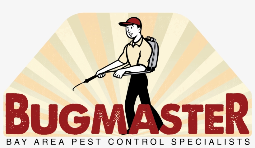 Bug Masters - Free Transparent PNG Download - PNGkey