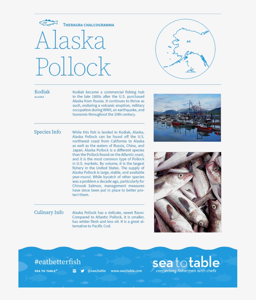 Sea2table Pollock - Free Transparent PNG Download - PNGkey