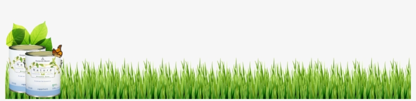 Lawn - Free Transparent PNG Download - PNGkey