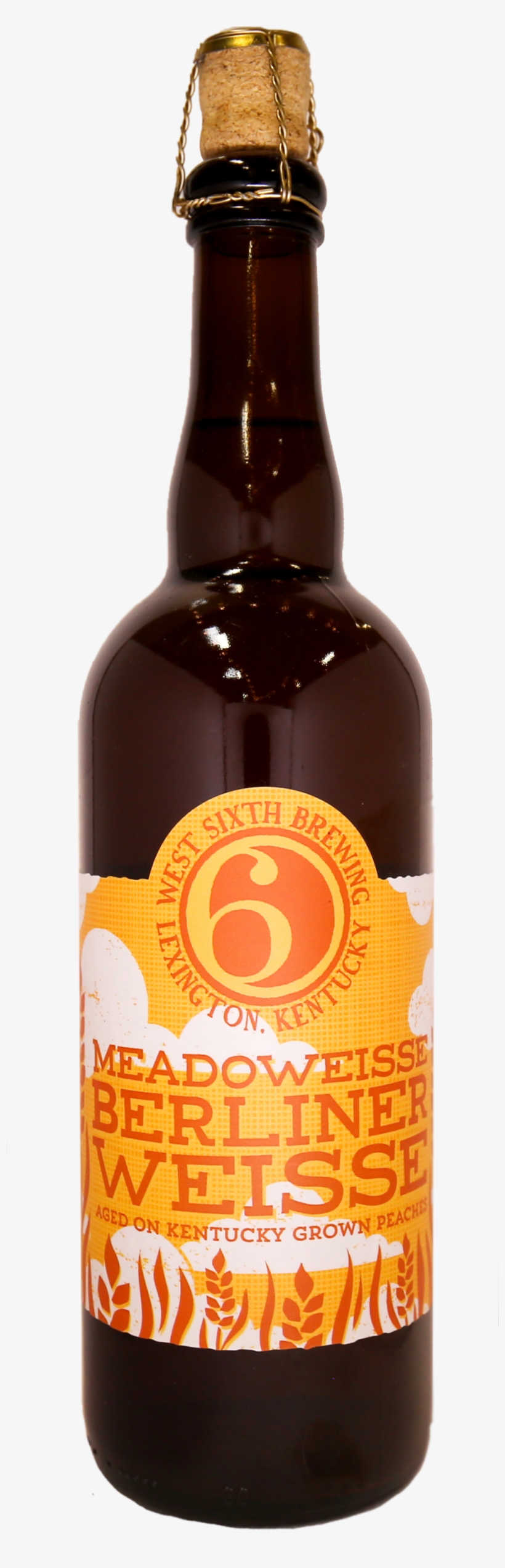 Caguama Png - Free Transparent PNG Download - PNGkey