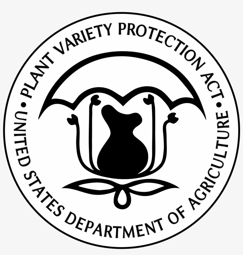 Pvp Seal Transparent - Free Transparent PNG Download - PNGkey