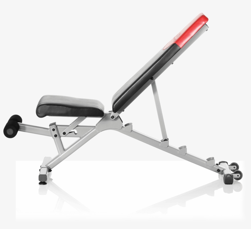 Bowflex Selecttech - Free Transparent PNG Download - PNGkey