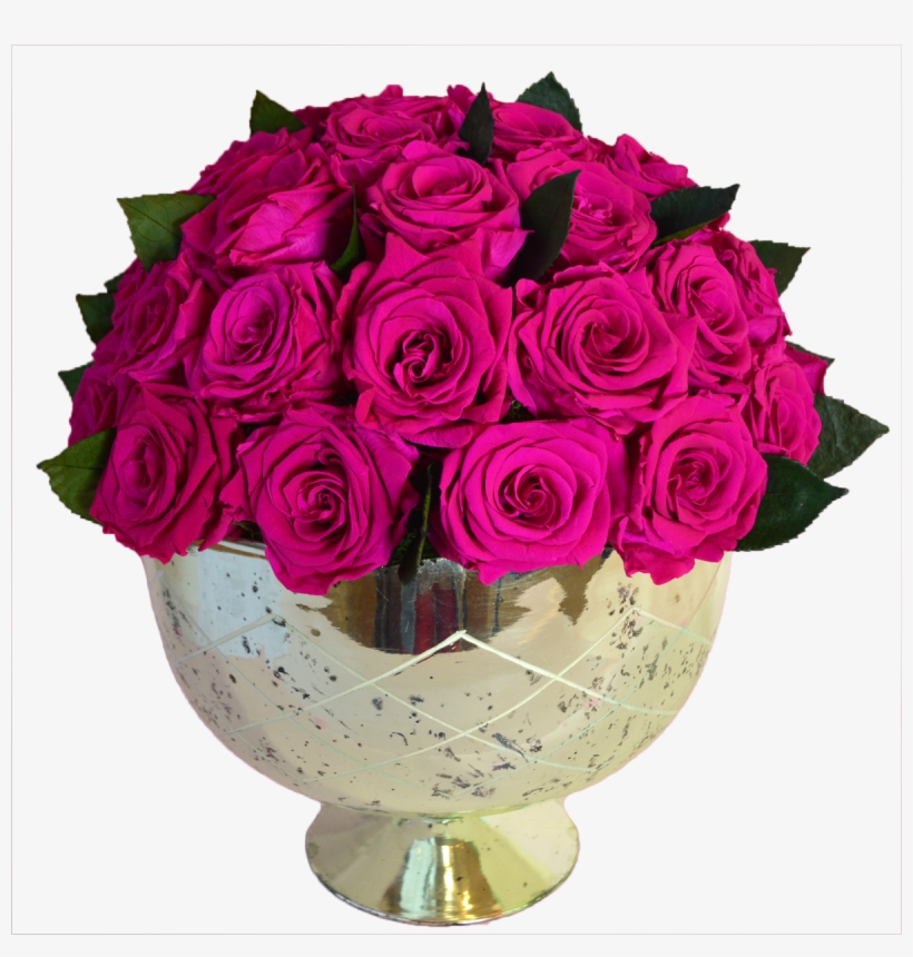 Crosshatch Compote - 45 Rose - Free Transparent PNG Download - PNGkey