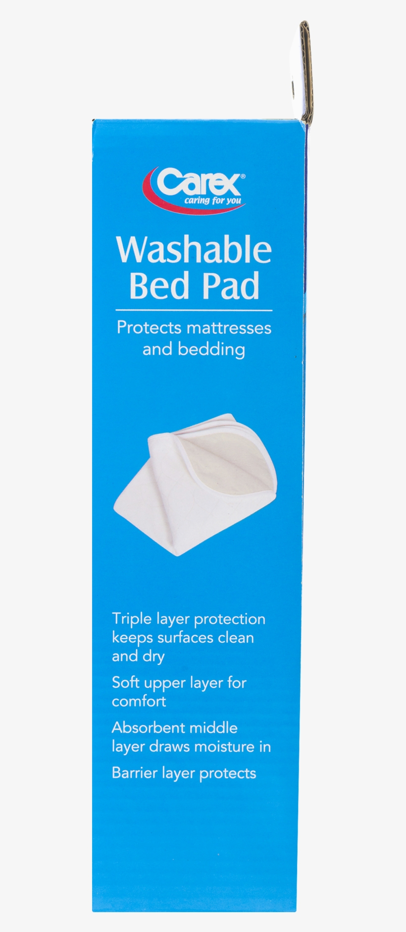 Carex Png - Free Transparent PNG Download - PNGkey