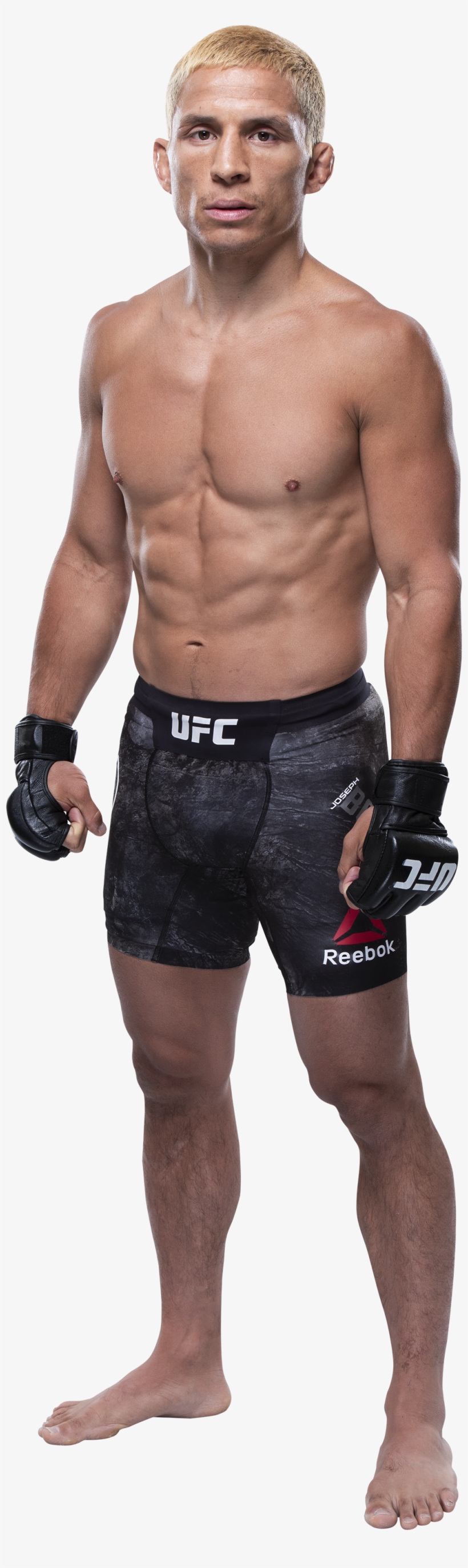 Ufc Belt Png - Free Transparent PNG Download - PNGkey