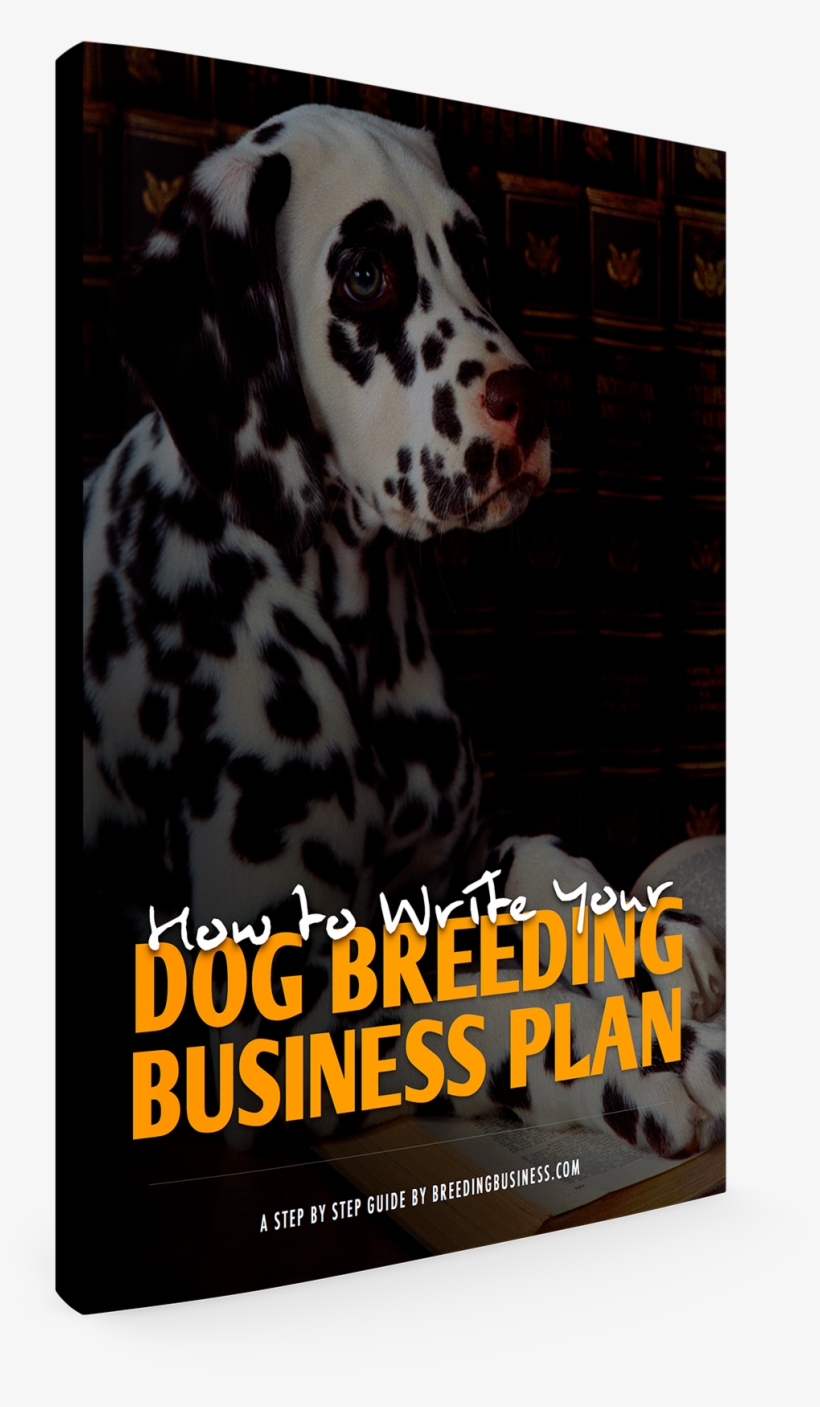 Ebook Cover - Free Transparent PNG Download - PNGkey