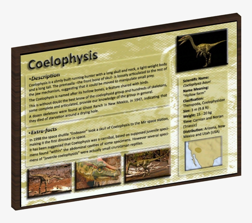 Coelophysis Sign - Free Transparent PNG Download - PNGkey