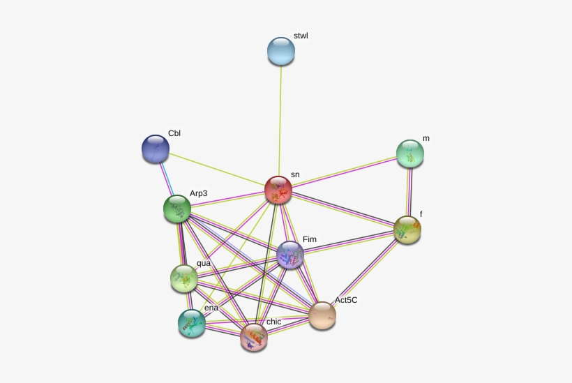 Singed Png - Free Transparent PNG Download - PNGkey