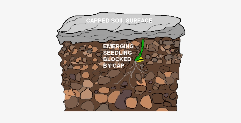 Capped Soil - Soil Surface Capping - Free Transparent PNG Download - PNGkey