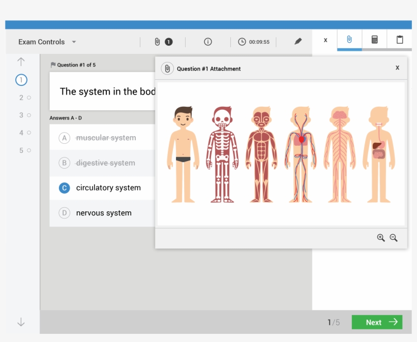 Examplify In 3 Easy Steps - Cartoon Body Anatomy - Free Transparent PNG ...
