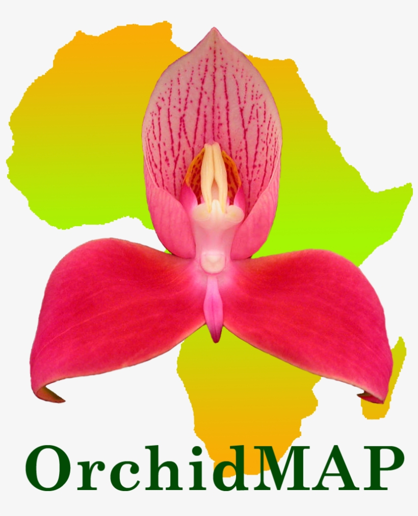 [inmage Size Reduced] - Free Transparent PNG Download - PNGkey