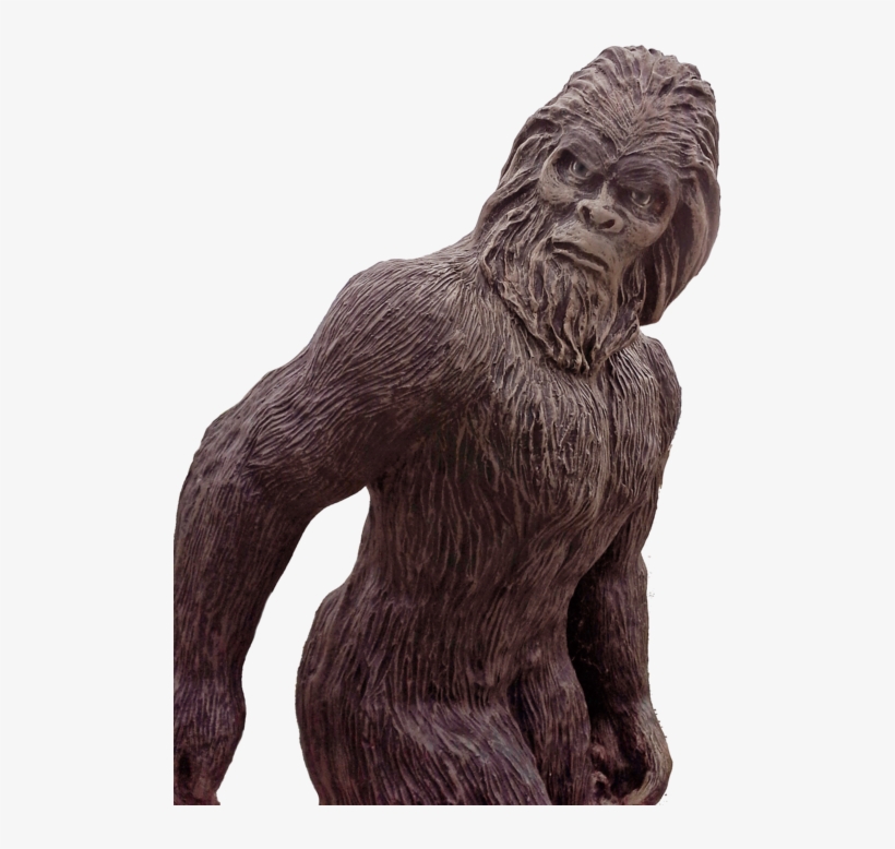 Sasquatch Png - Free Transparent PNG Download - PNGkey