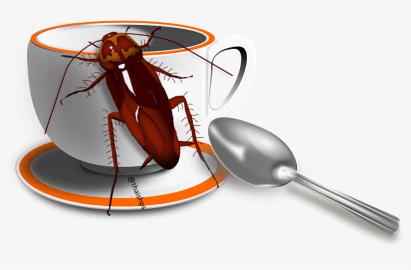 Cucaracha Png - Free Transparent PNG Download - PNGkey