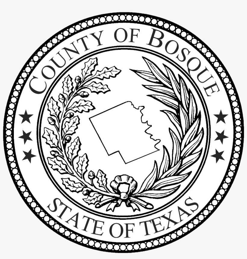 Bosque Png - Free Transparent PNG Download - PNGkey