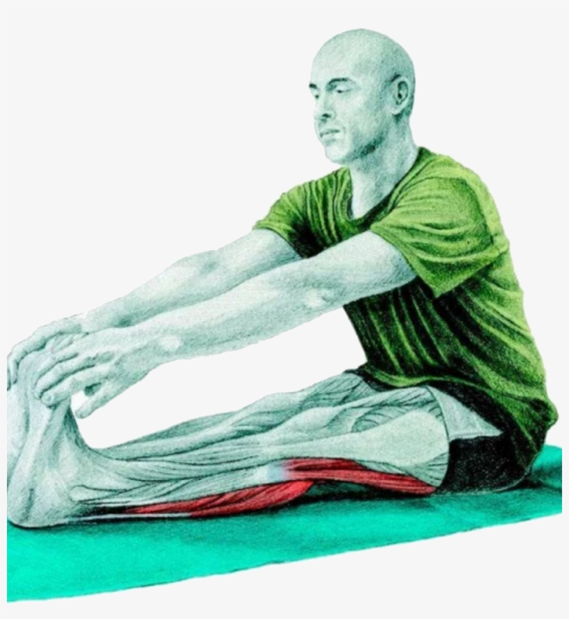 20 Myswimpro Stretch Seated Forward Toe Touch - Free Transparent PNG ...