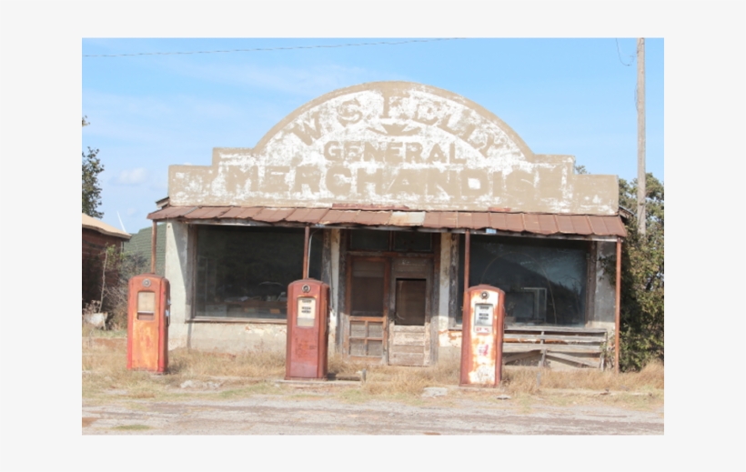 Bug Eyes - Free Transparent PNG Download - PNGkey