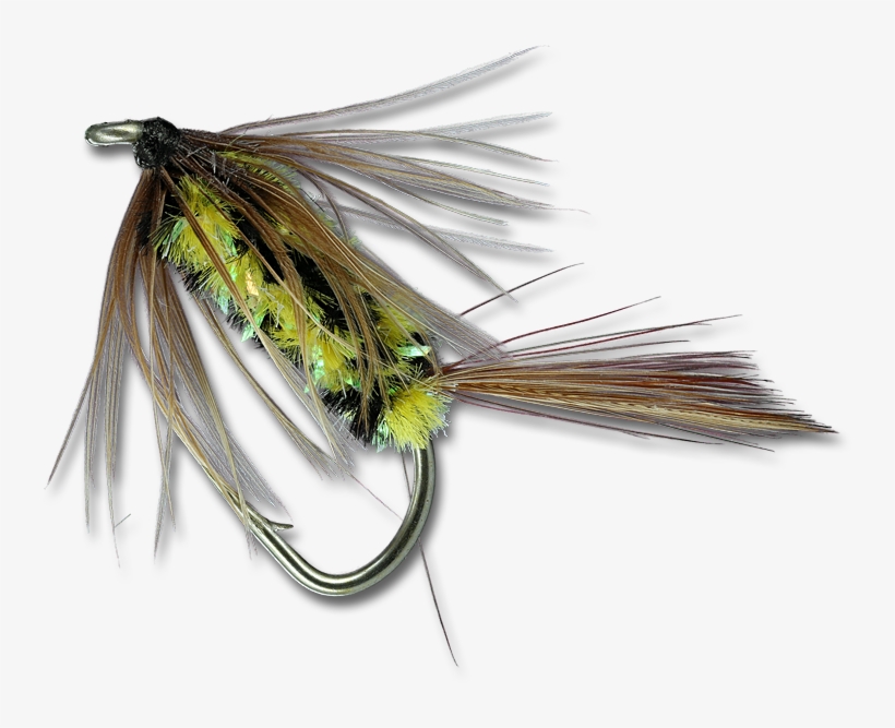 Brindle Bug - - Free Transparent PNG Download - PNGkey