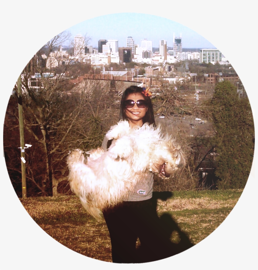 Happy Pooch - - Free Transparent PNG Download - PNGkey