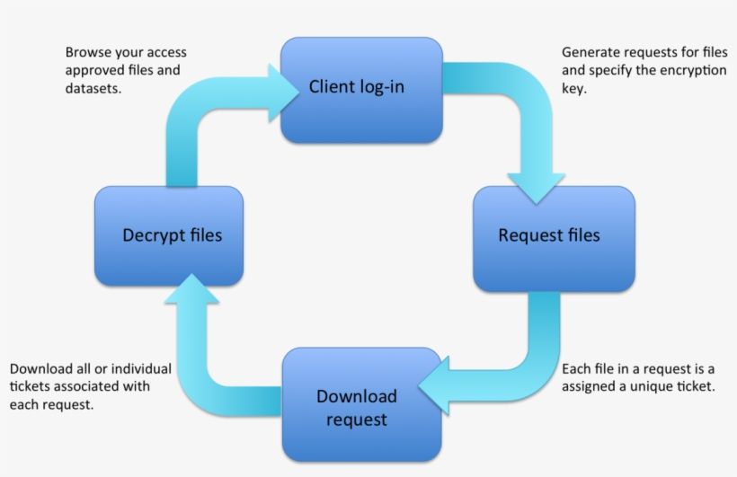 Both Methods Provide Similar Functionality And Have - Free Transparent ...