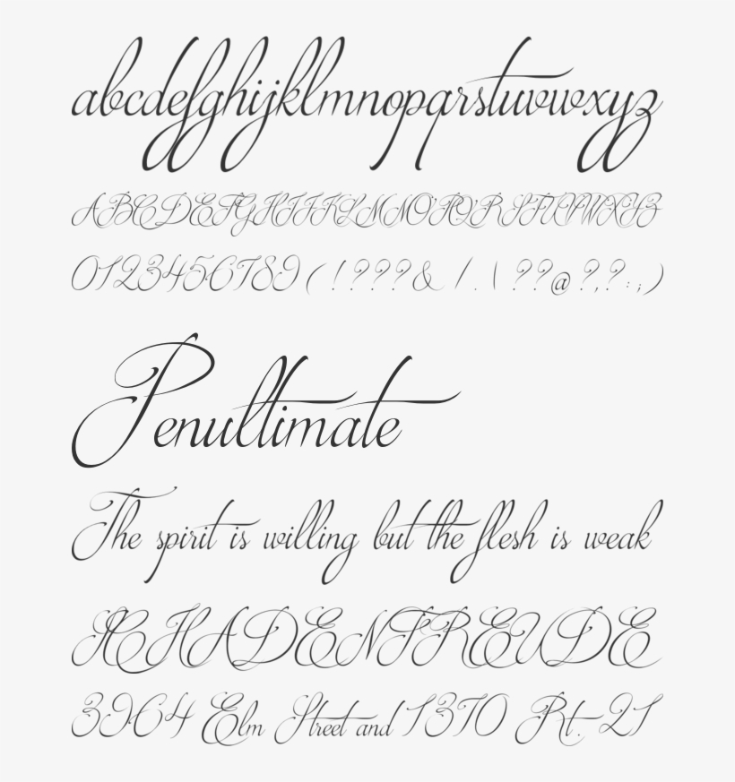 Brotherhood Script - Free Transparent PNG Download - PNGkey