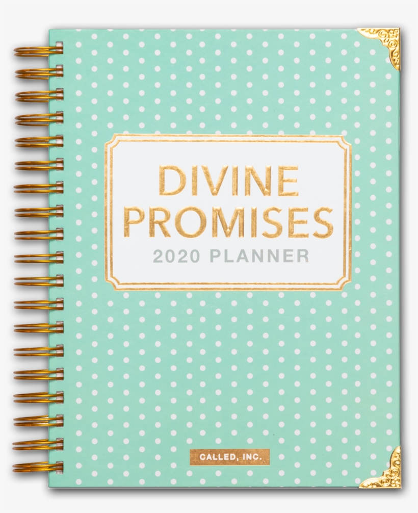 Why It's Divine - Free Transparent PNG Download - PNGkey