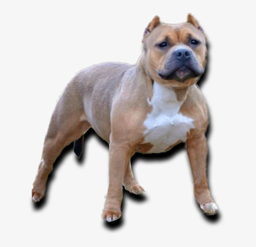 Go Back - Free Transparent PNG Download - PNGkey