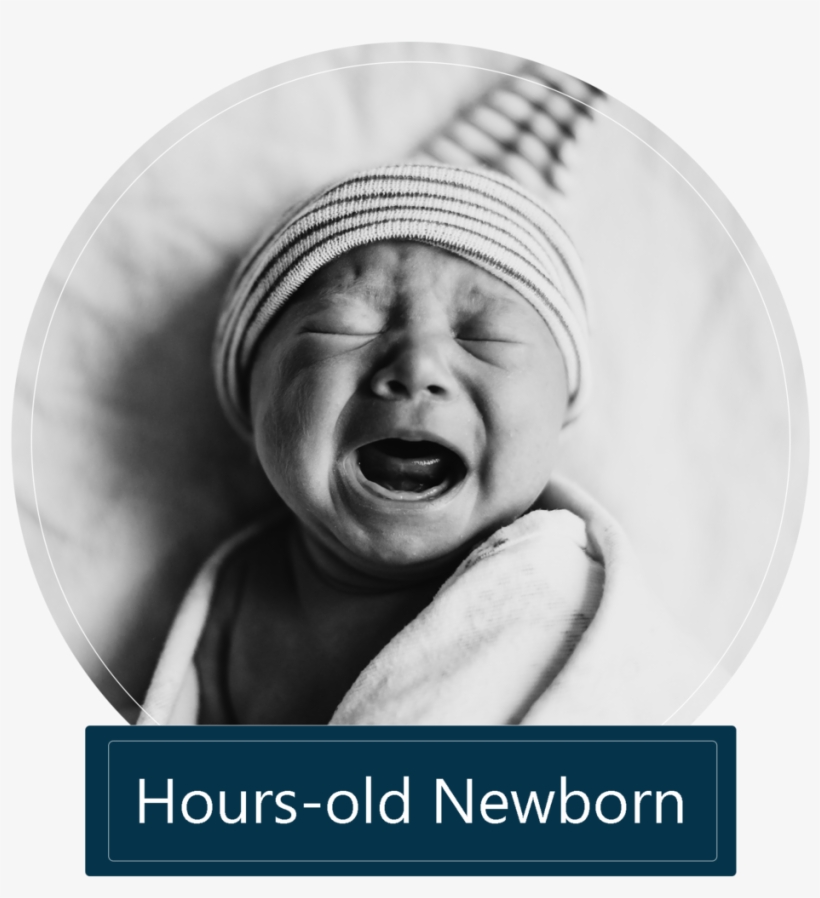 Hours Old Button - Free Transparent PNG Download - PNGkey