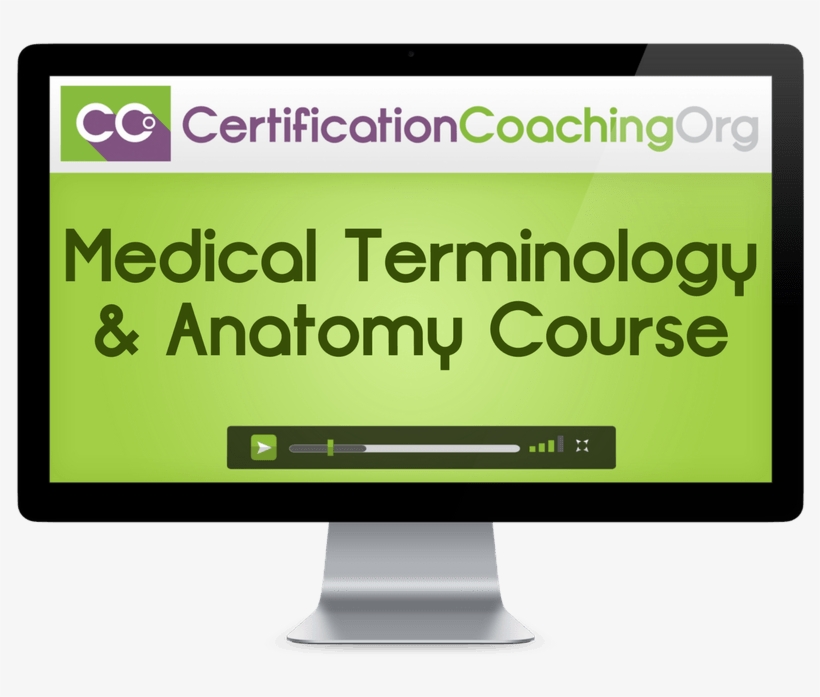 Medical Terminology & Anatomy Course - Free Transparent PNG Download ...