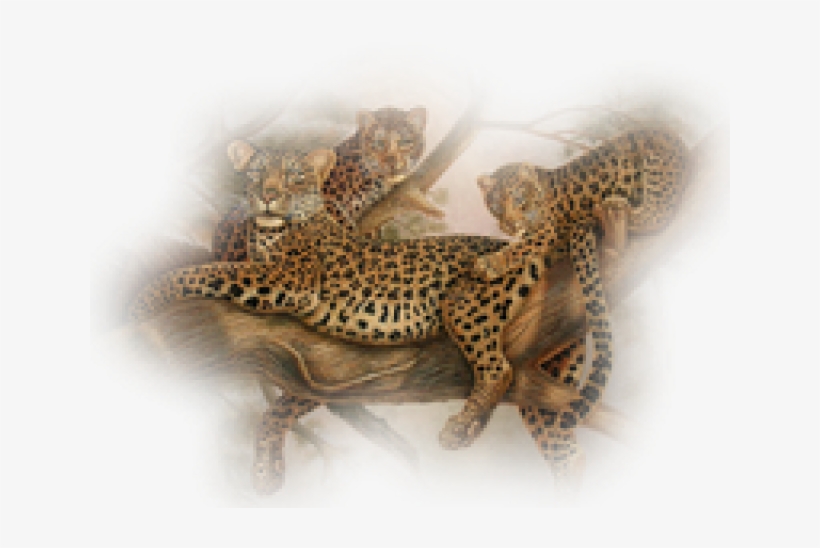 Leopard Png Transparent Images - Leopard - Free Transparent PNG ...