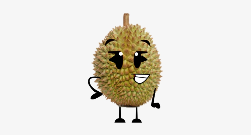 Durian - Free Transparent PNG Download - PNGkey
