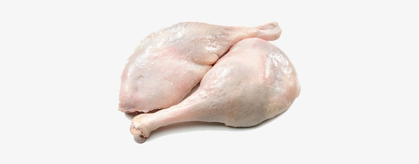Chicken Bone Png Clip Art Library Download - Stock Photography - Free ...