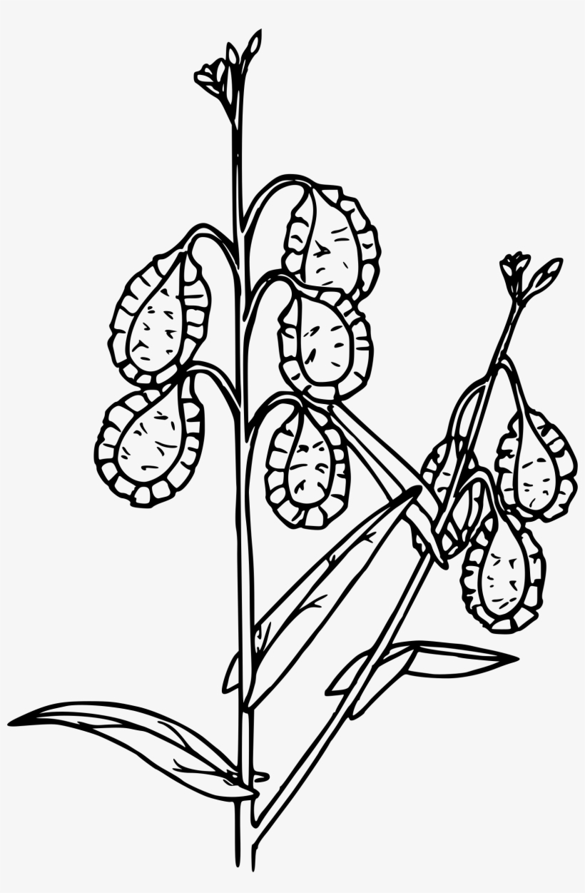 This Free Icons Png Design Of Fringe Pod - Free Transparent PNG ...