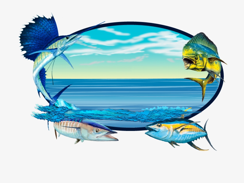Wahoo Fish Clip Art 90+ Wahoo Fish Stock Illustrations, Royalty Free