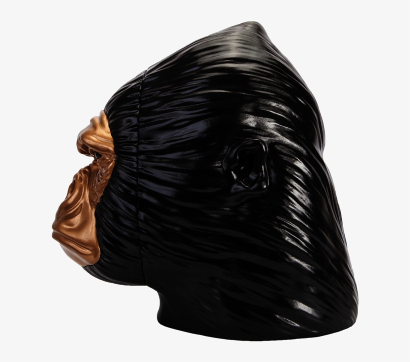 Darwin Face Darwin Side Profile - Free Transparent PNG Download - PNGkey