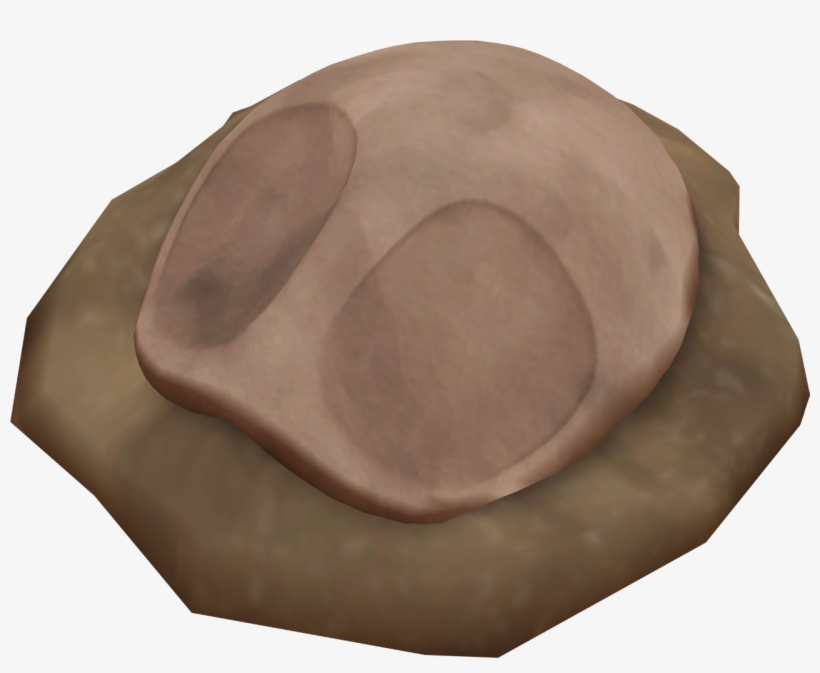 Fossil - Free Transparent PNG Download - PNGkey