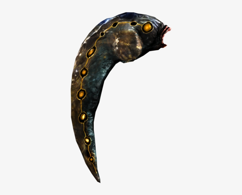 Sea Slug Concept Art - Free Transparent PNG Download - PNGkey