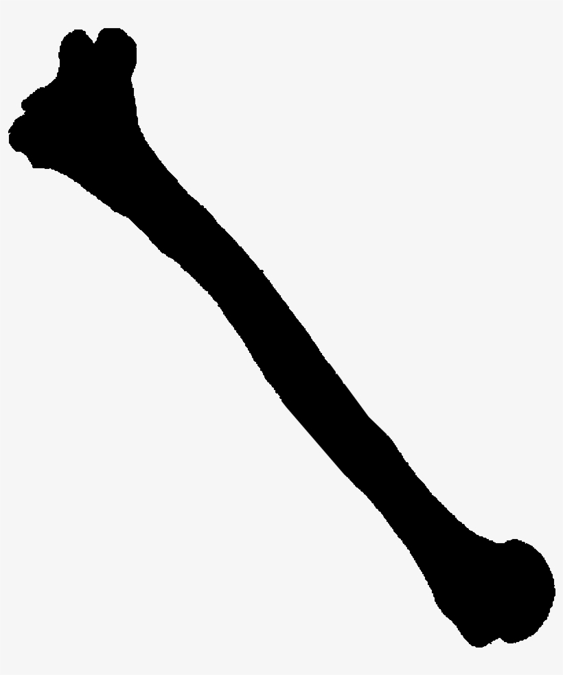 A Bone - - Free Transparent PNG Download - PNGkey